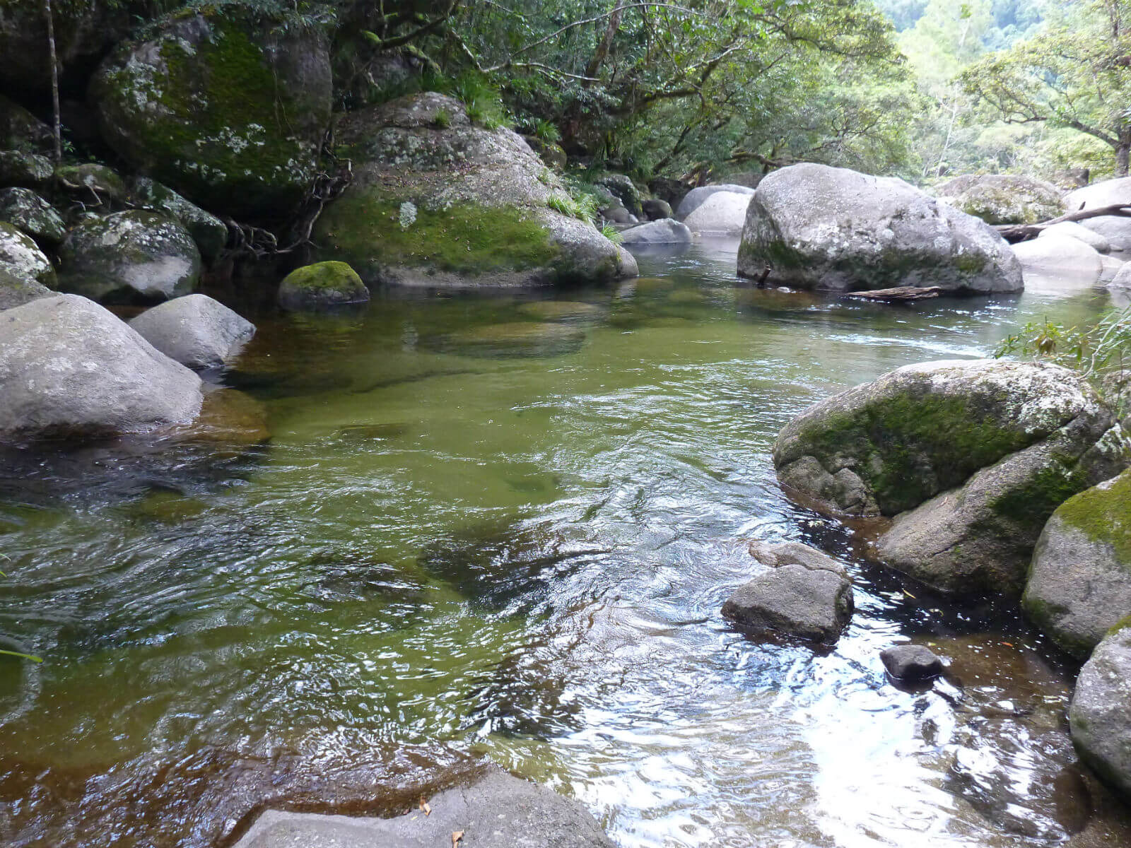 Mossman Gorge, North Queensland- A Travellers Guide