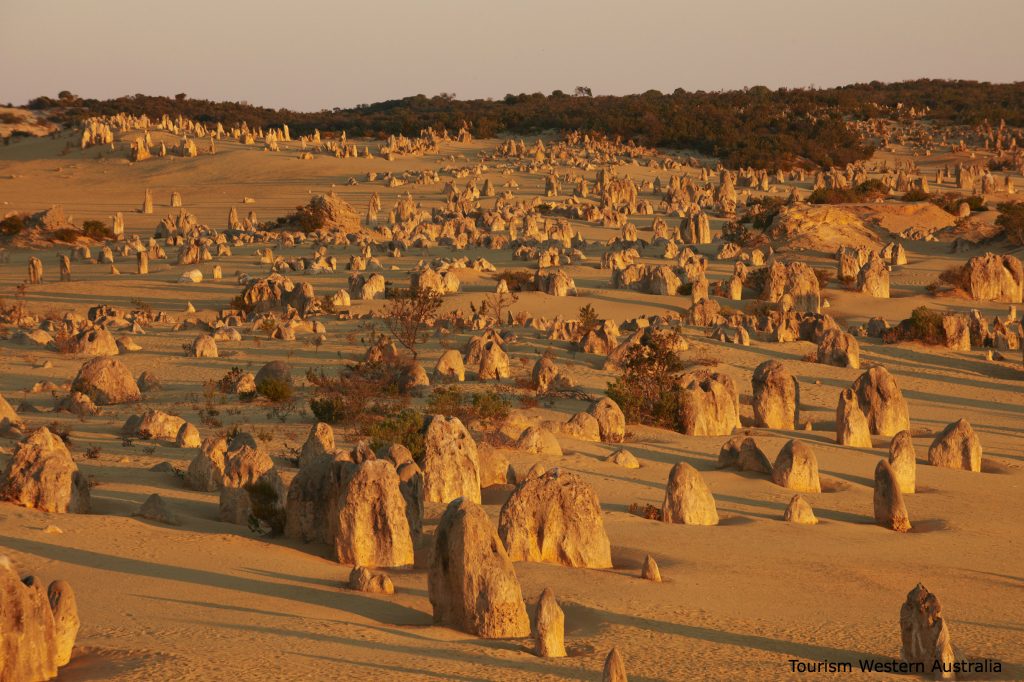 Things to do in Perth, Western Australia - A Travellers Guide