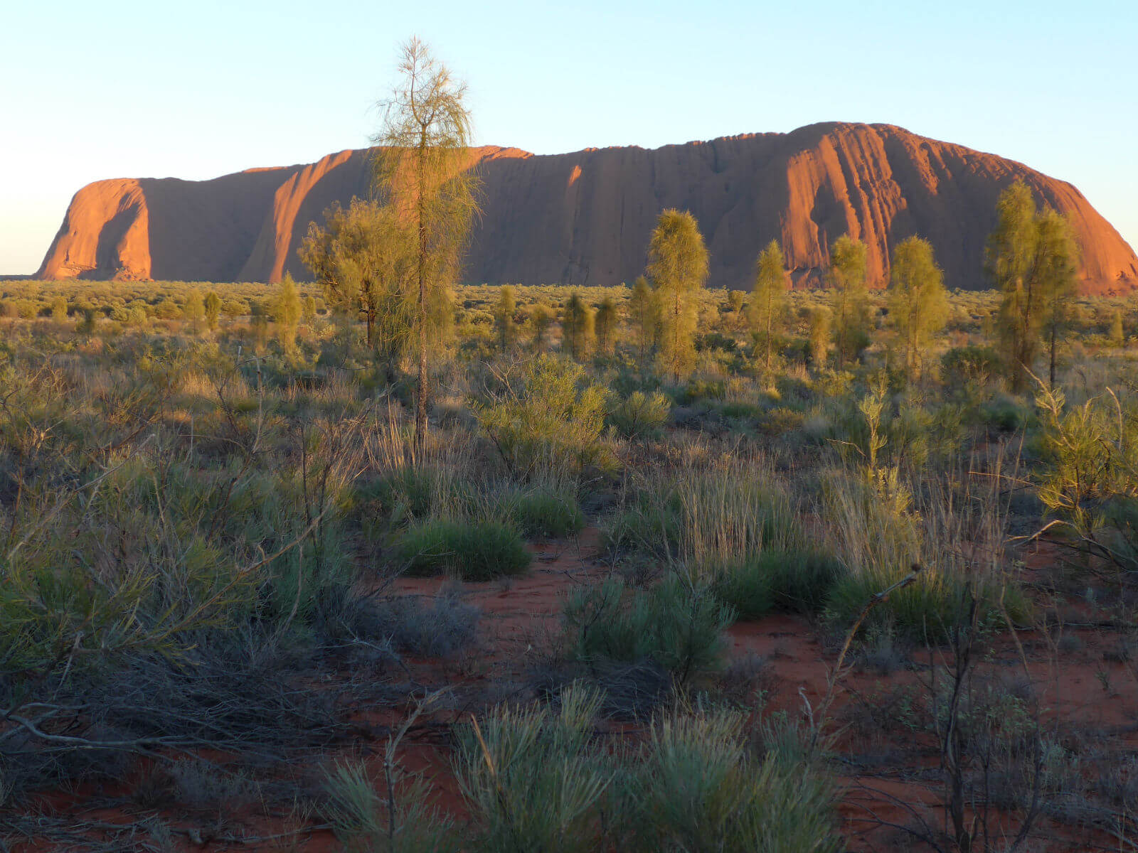 Top 10 Things to do at or near Uluru
