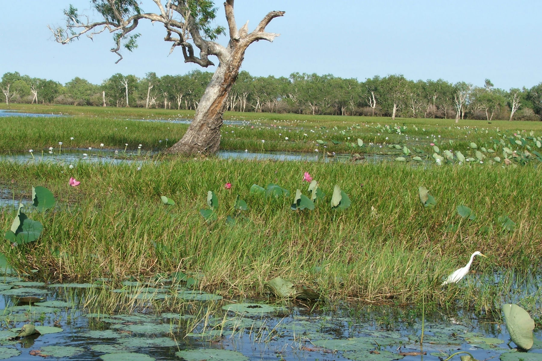 Darwin Top 9 Things to do, Tours to Go travel guide